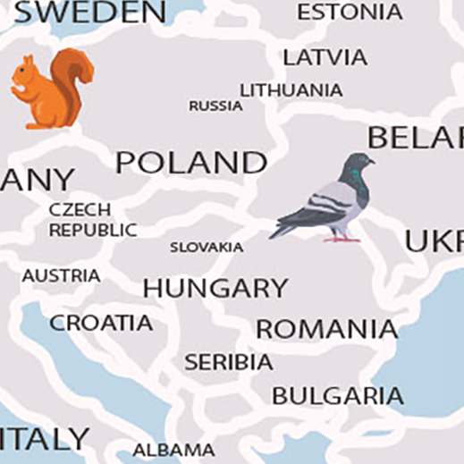 Tapeta Mapa světa (Anglicky) | Shopni si - Samolepky nejen na zeď